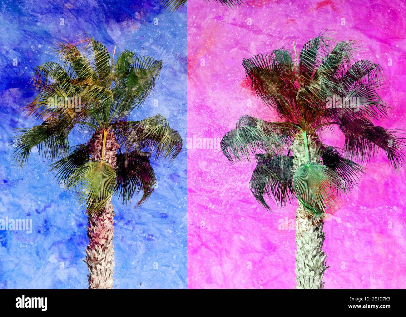 Photos of beautiful retro palm trees of different shades on a tropical ...