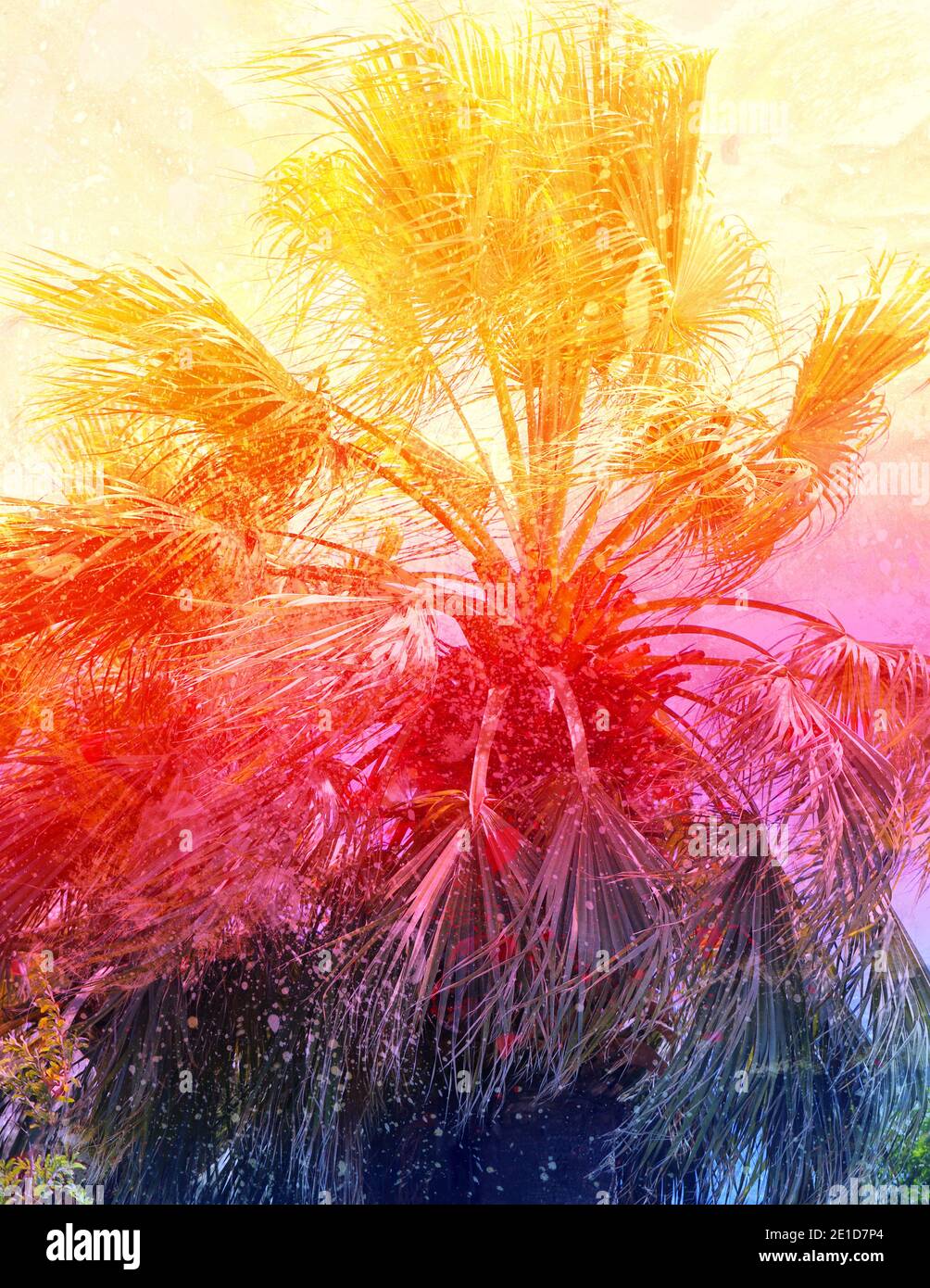 Photos of beautiful retro palm trees of different shades on a tropical ...