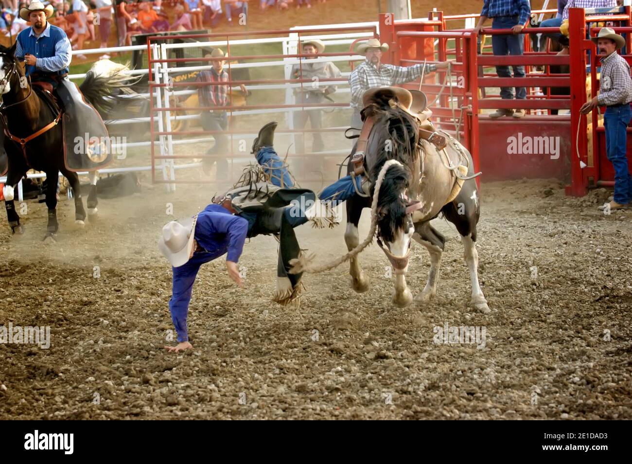 Cowboys compete in Rodeo action Stock Photo - Alamy