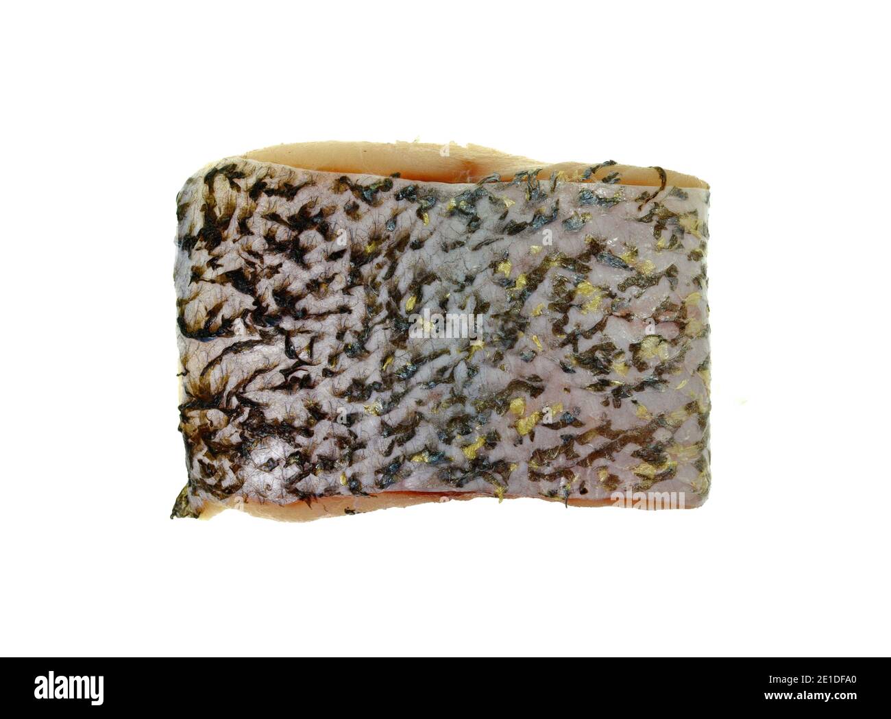 raw northern pike sliced in steaks, fresh fish prepared for grilling or ...