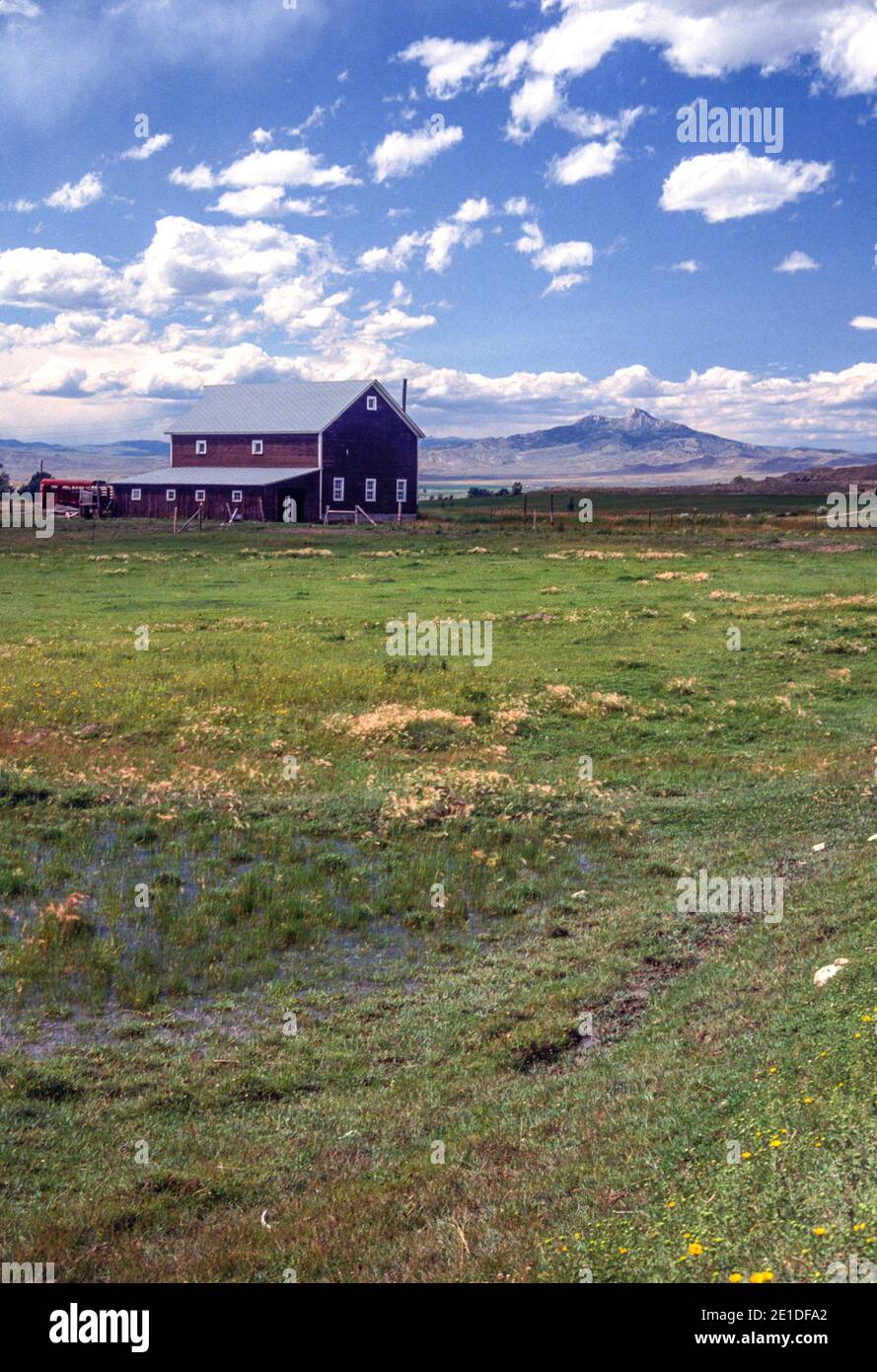 1993, Ranch Pasture and Red Barn Buildings , Cody, WY, USA Stock Photo ...