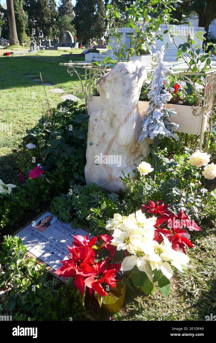 Los Angeles, California, USA 29th December 2020 A general view of ...