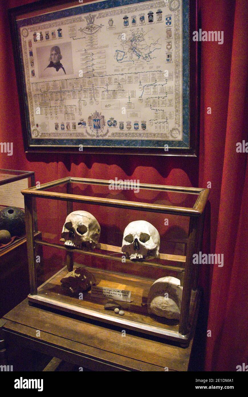 Waterloo battlefield skeleton hi-res stock photography and images - Alamy