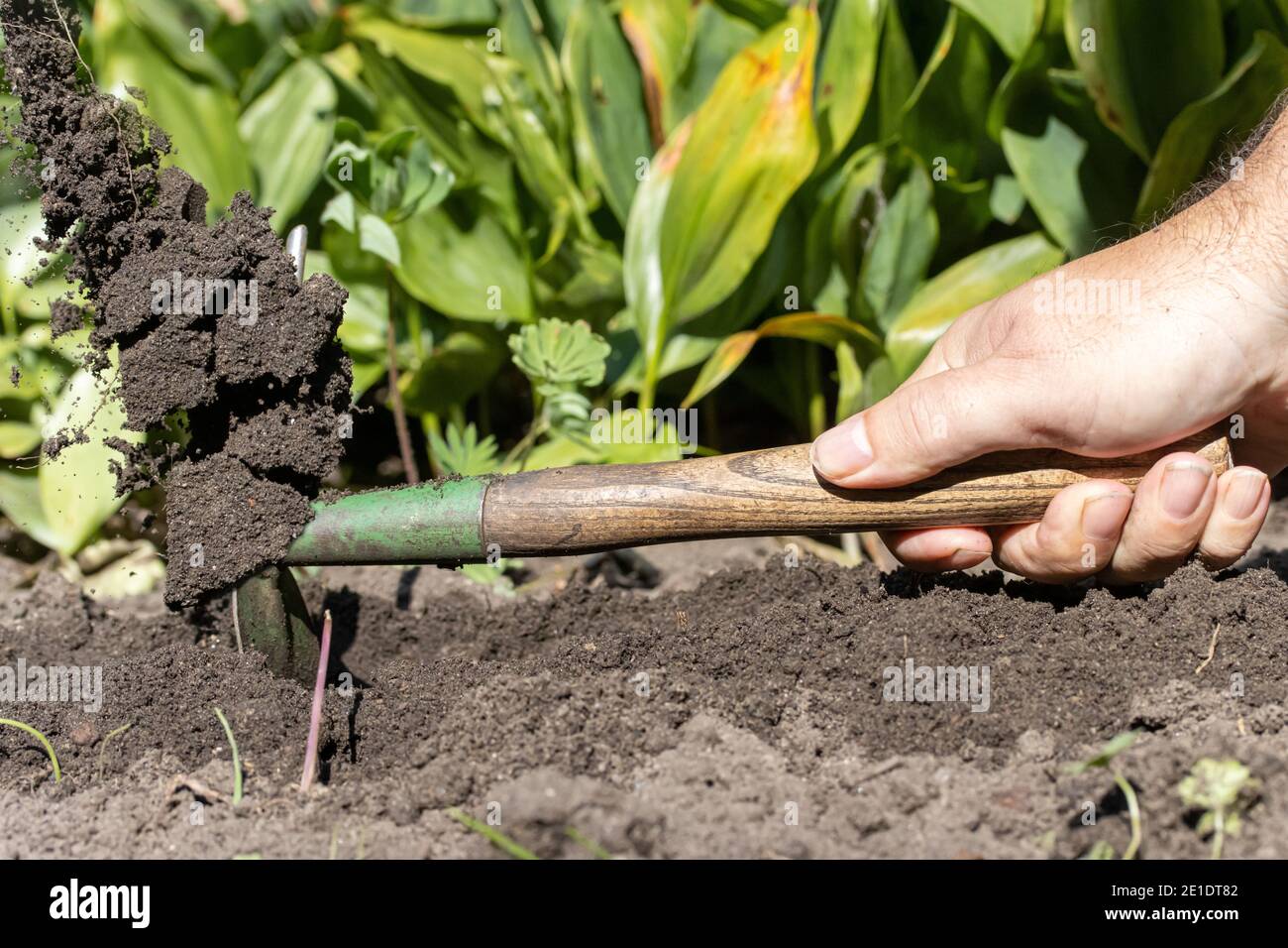 Hoe soil hi-res stock photography and images - Alamy