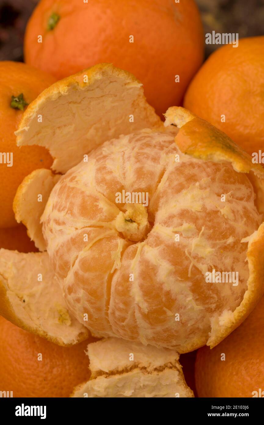 Part peeled tangerine showing pattern, texture and pith, food ...