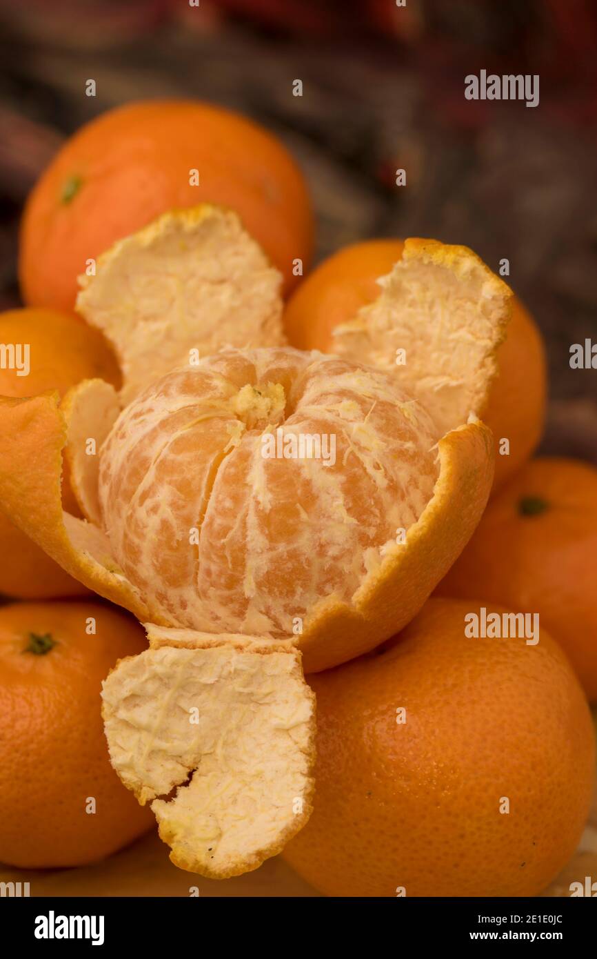 Part peeled tangerine showing pattern, texture and pith, food ...