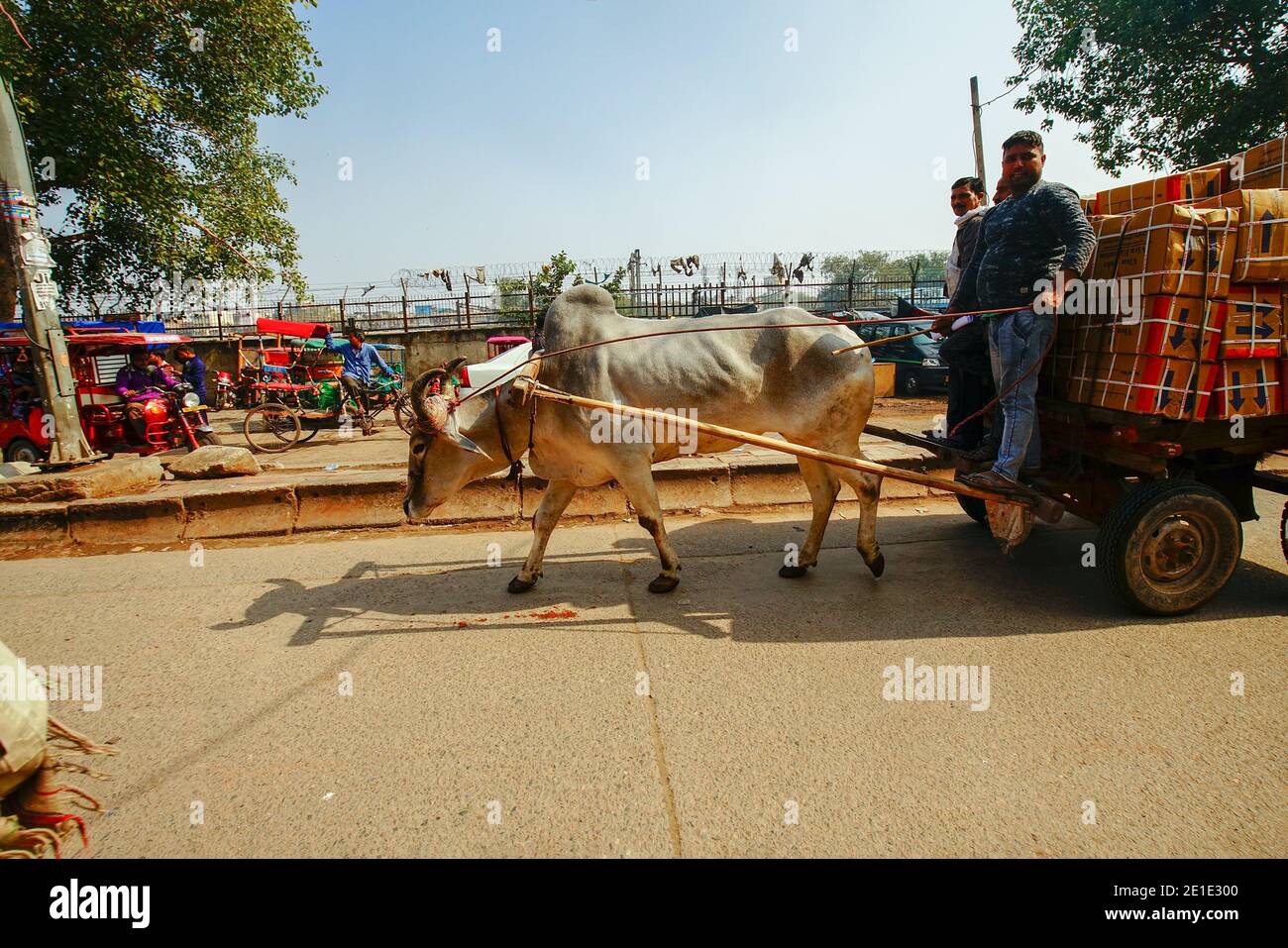 Buffalo drawn hi-res stock photography and images - Alamy
