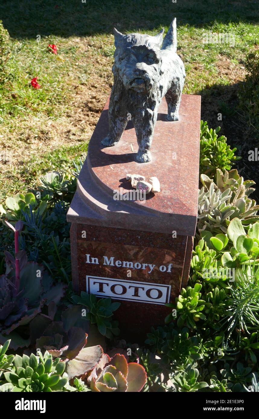 Los Angeles, California, USA 29th December 2020 A general view of ...