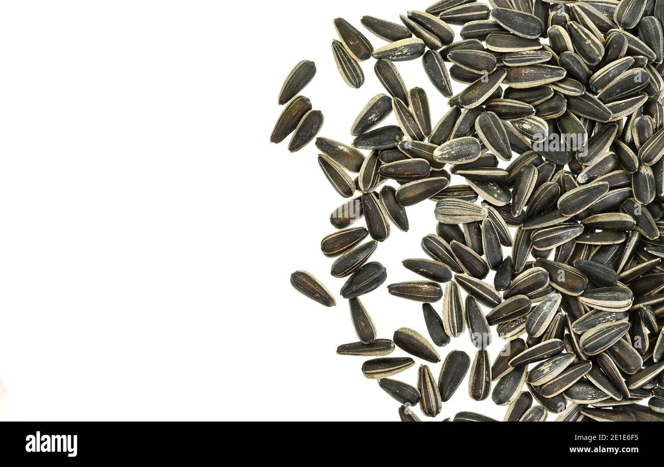 Unpeeled Sunflower seeds isolated on white background Stock Photo - Alamy