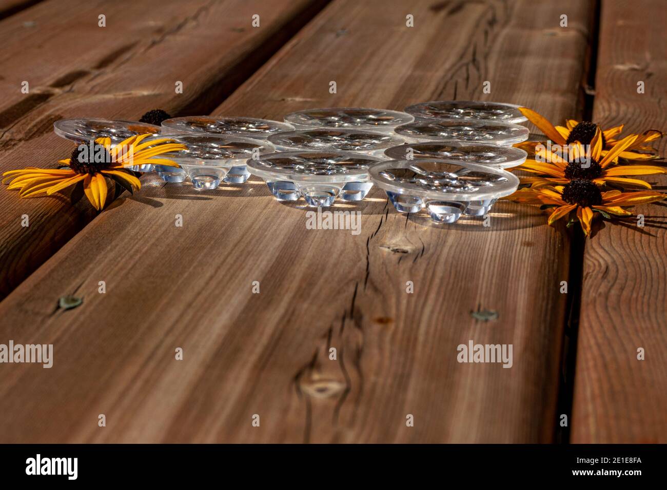 Reflectors under the sun on wood with flowers Stock Photo - Alamy