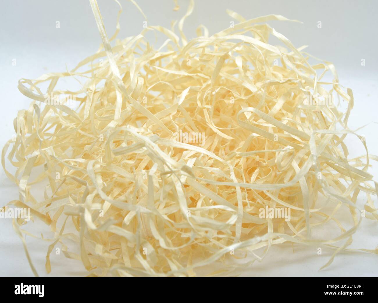 Paper nest made of pressed paper on a clear light background. High ...
