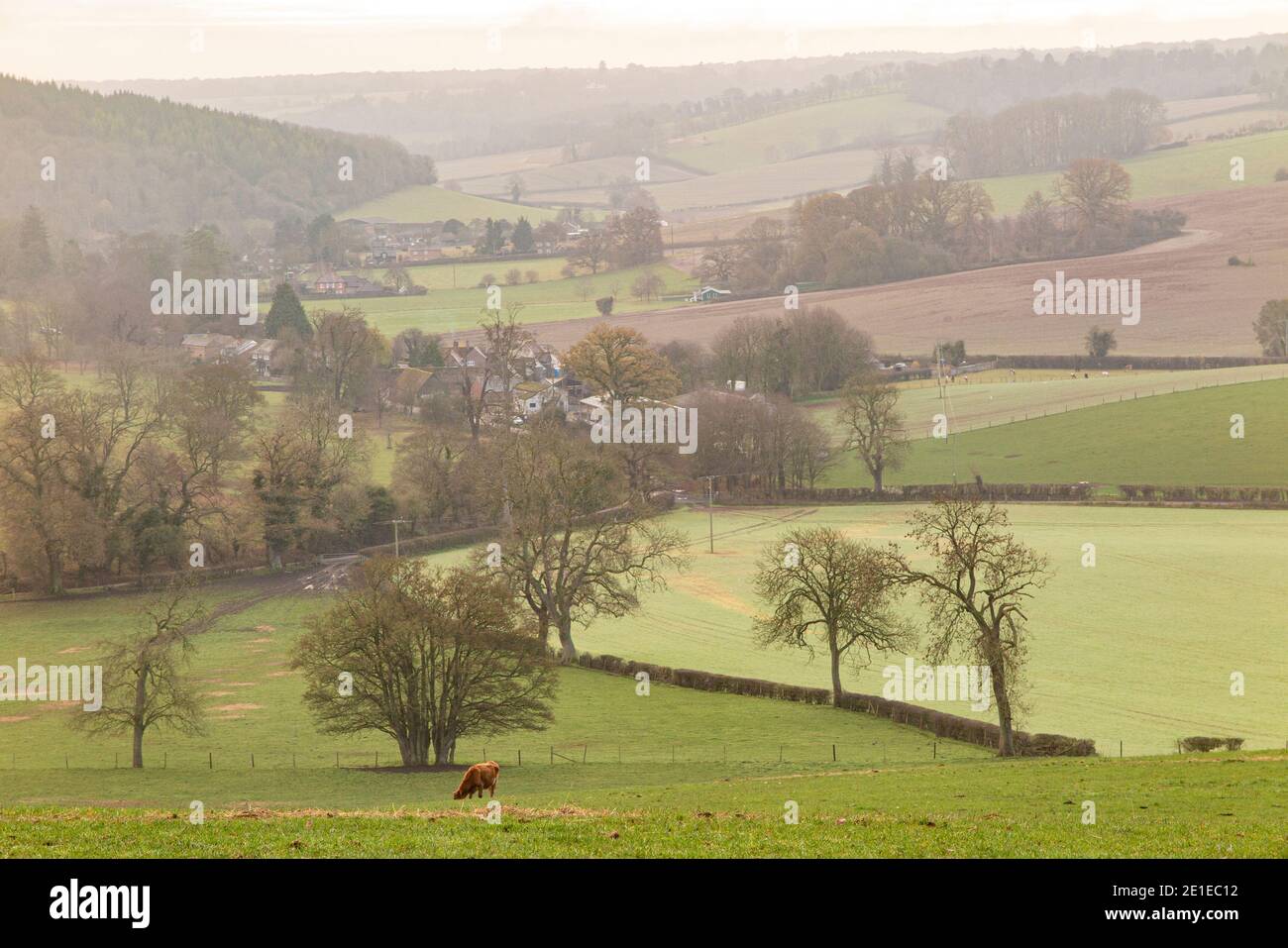 South heath chiltern hi-res stock photography and images - Alamy