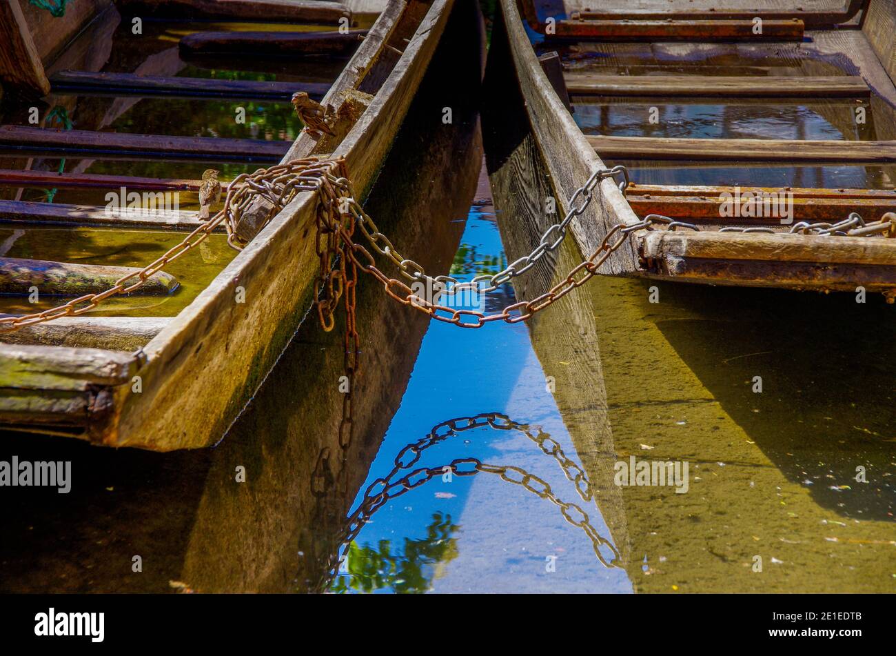 Two old wood barges connected with rusty chain. Chain is reflected in ...