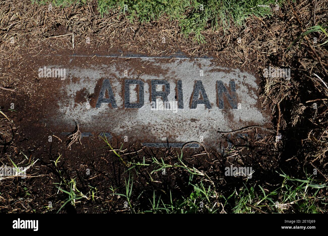 Los Angeles, California, USA 29th December 2020 A general view of ...