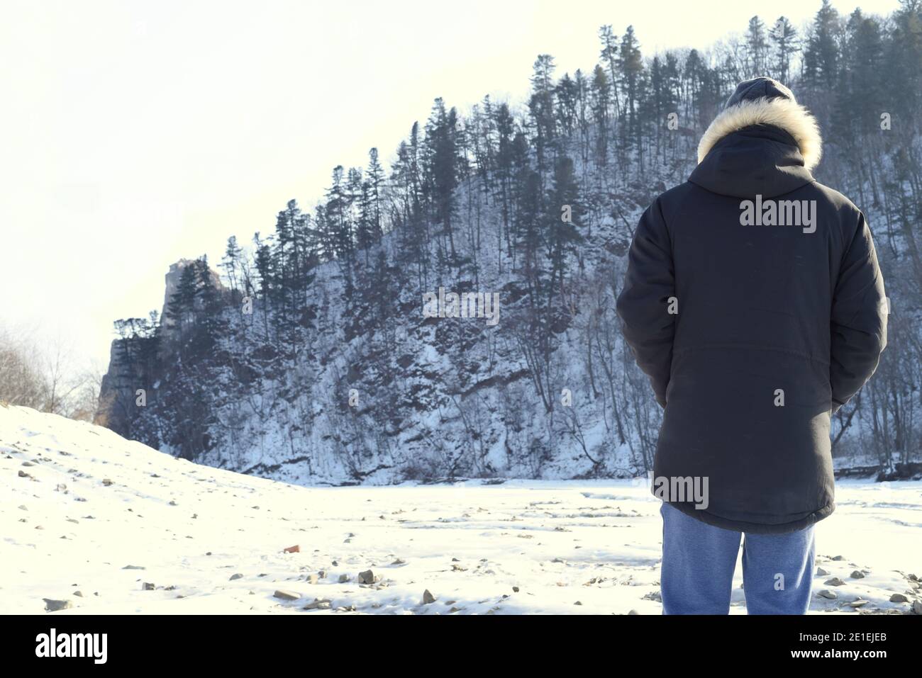 Siberia winter forest hi-res stock photography and images - Alamy