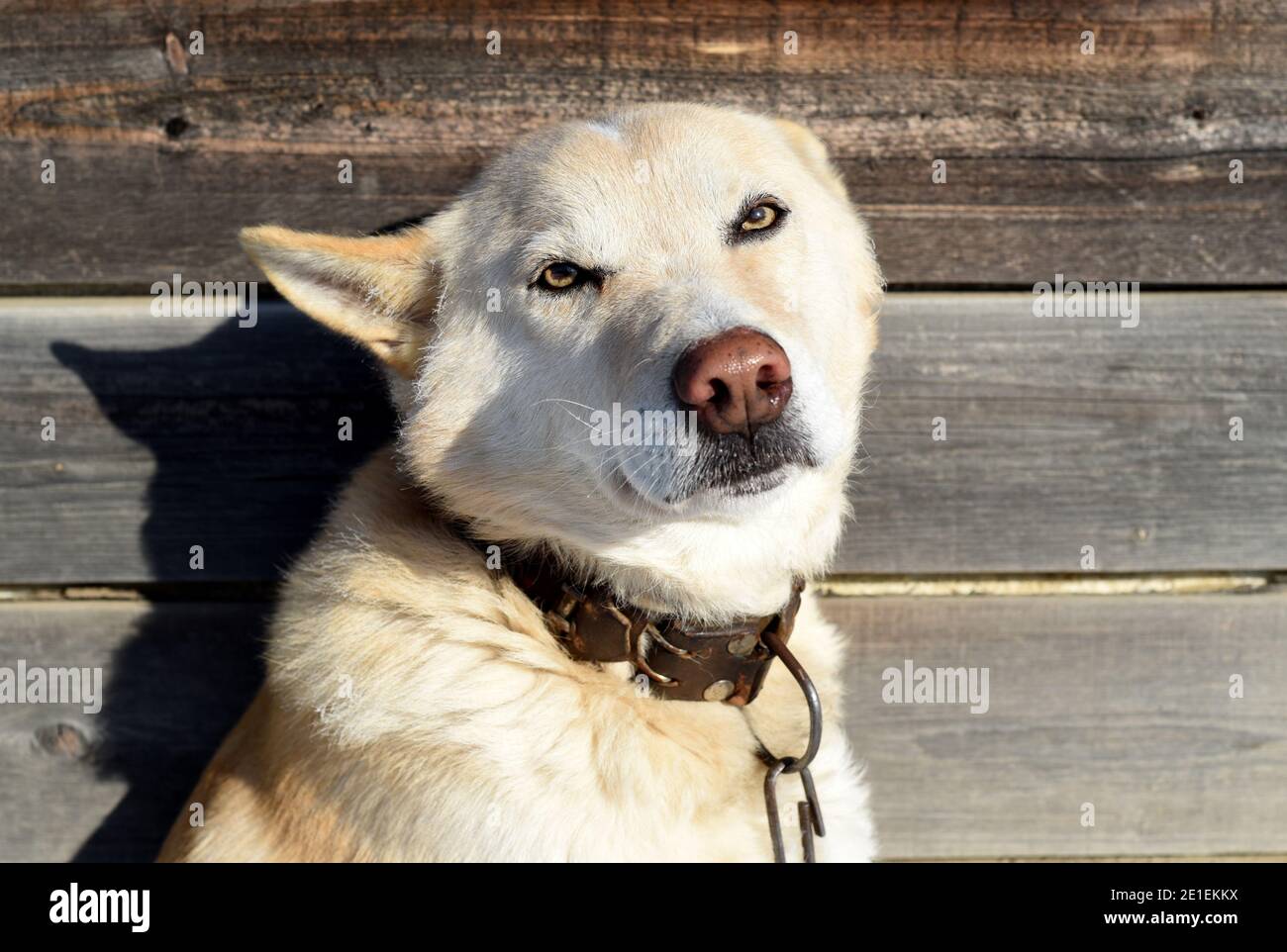 Body language hi-res stock photography and images - Alamy
