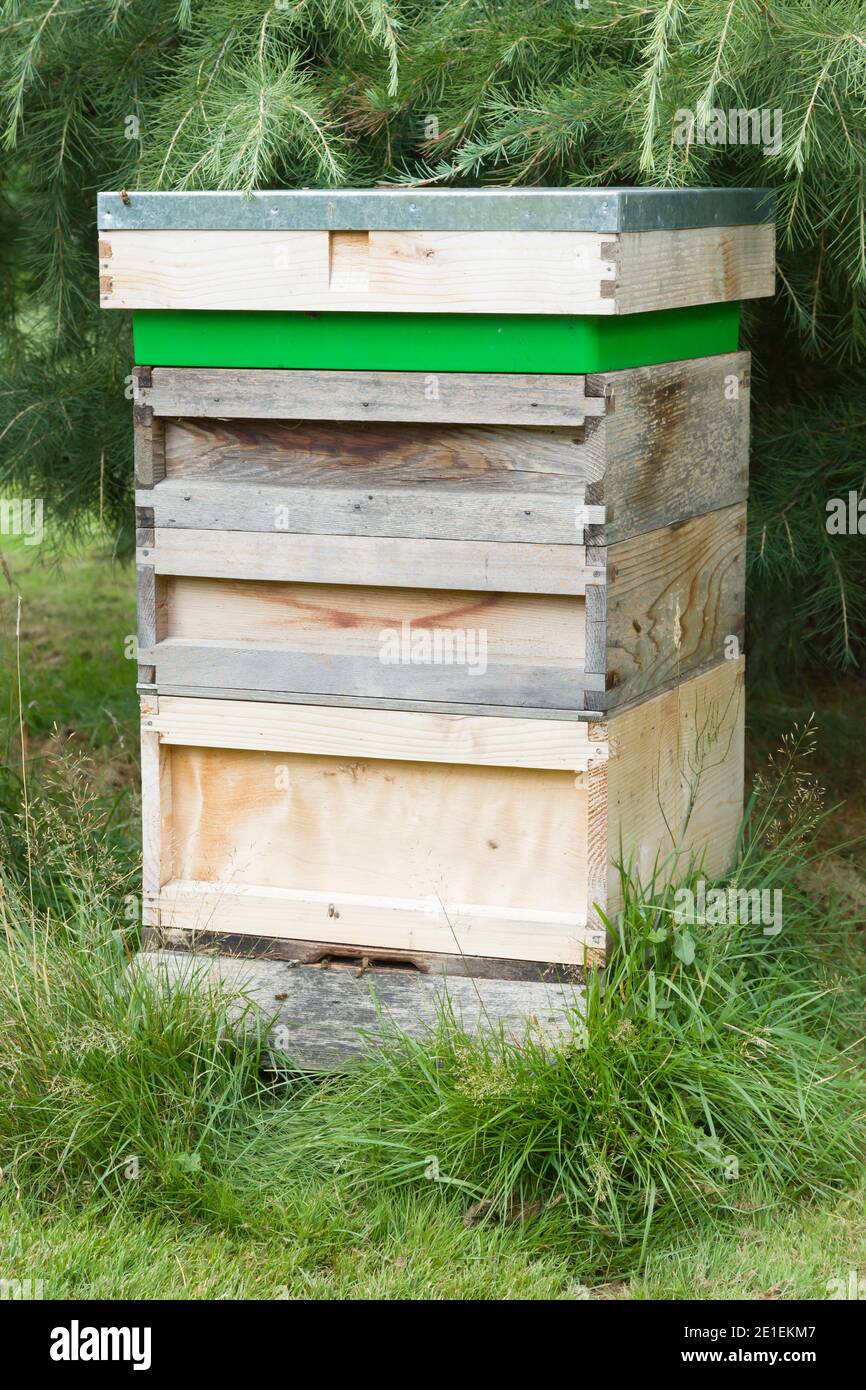 Wooden beehive hi-res stock photography and images - Alamy