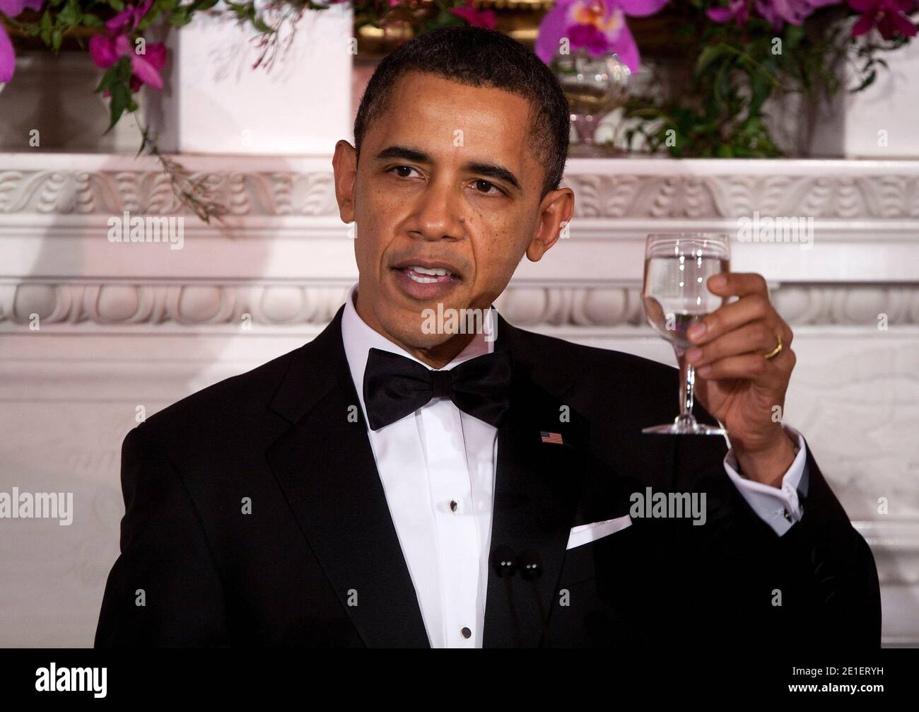 Micro papillon hi-res stock photography and images - Alamy