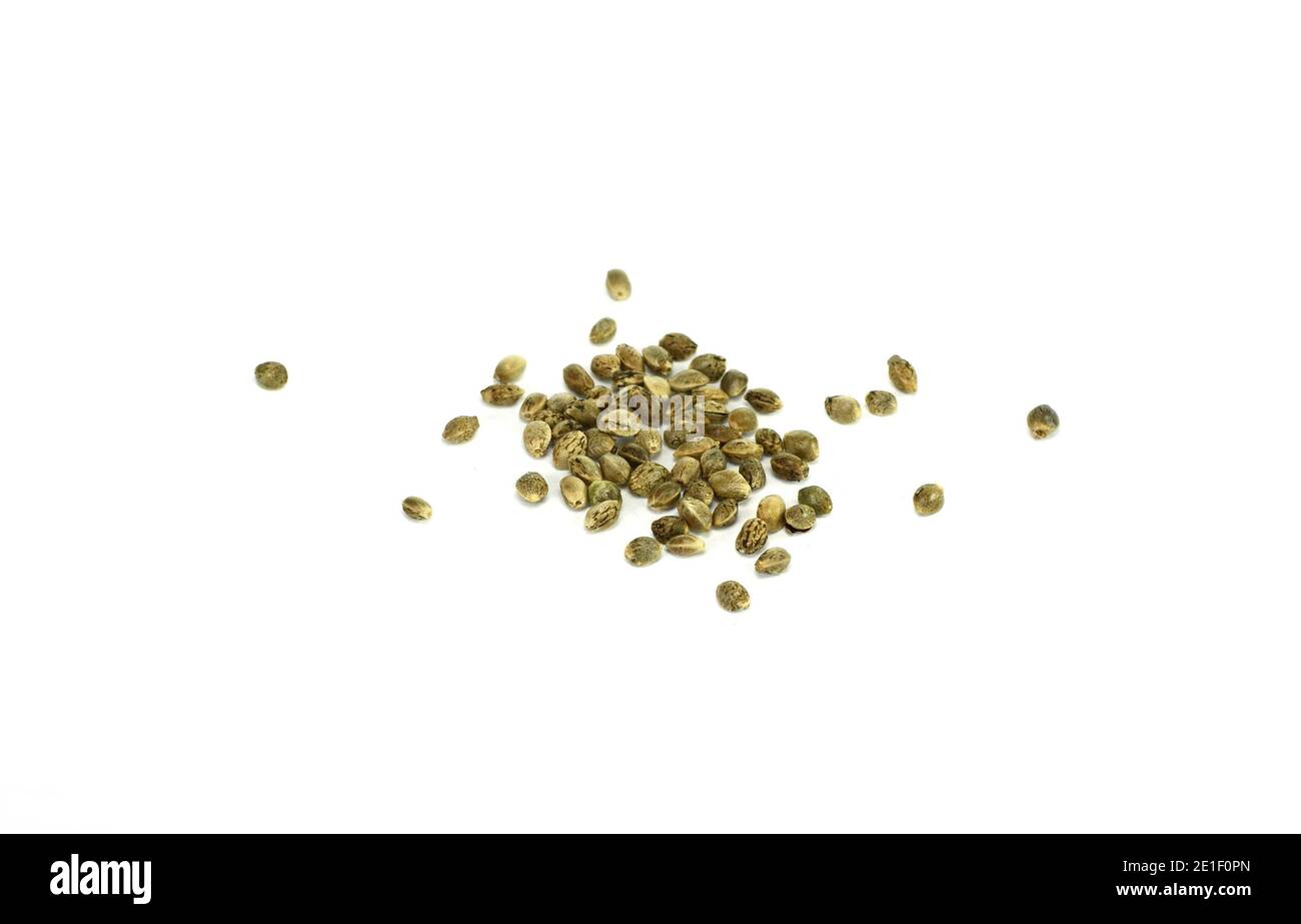 Hemp seeds on white background. Super food hemp seed Stock Photo - Alamy Hemp seeds on white background. Super food hemp seed Stock Photo - Alamy