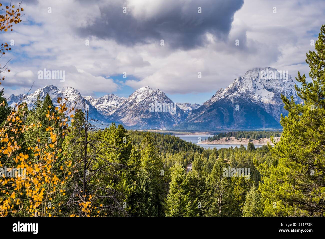 Mountain Landscape With Trees Stock Photo - Alamy