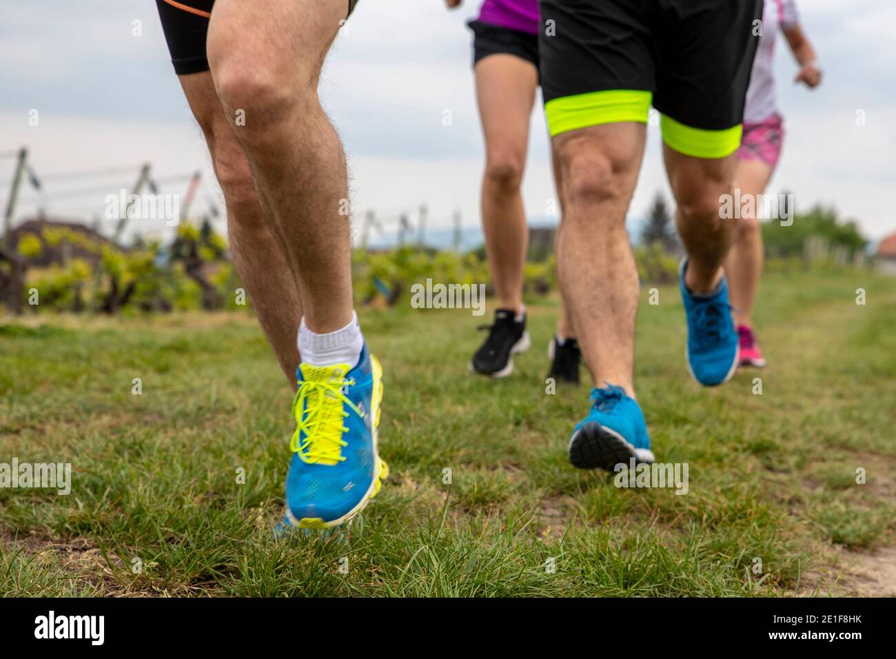 Multiple legs hi-res stock photography and images - Alamy