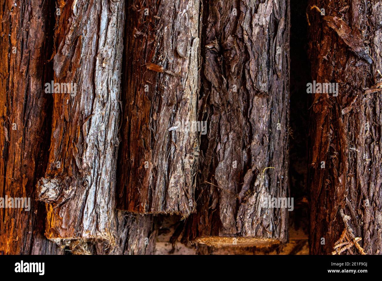 Canadian locally hand-built wood cabin Stock Photo - Alamy