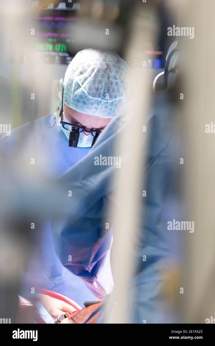 Surgical magnifying glasses hi-res stock photography and images - Alamy