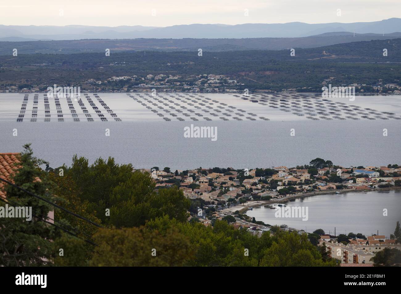 Sete oyster farming france hi-res stock photography and images - Alamy