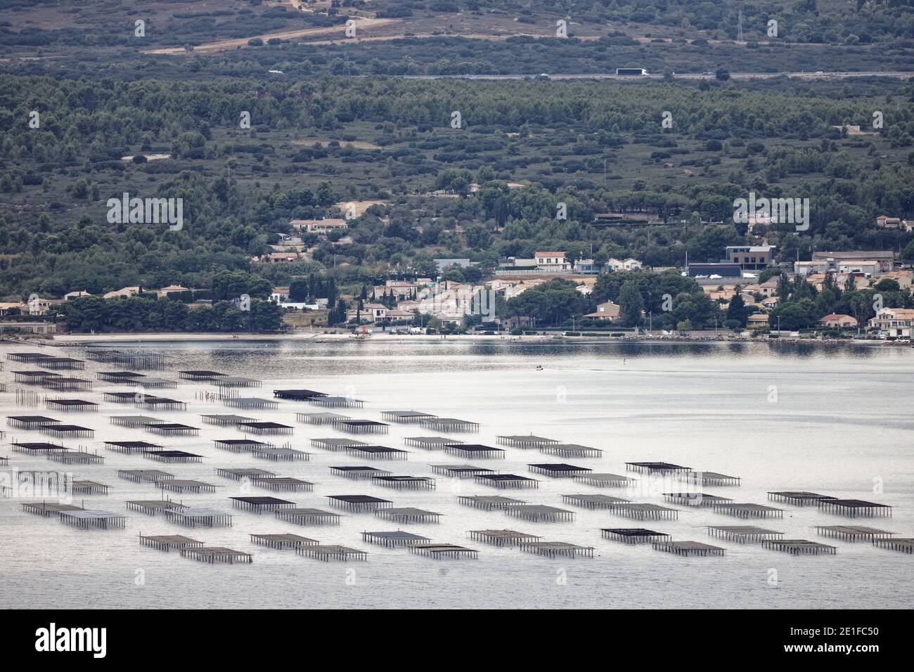 Sete oyster farming france hi-res stock photography and images - Alamy