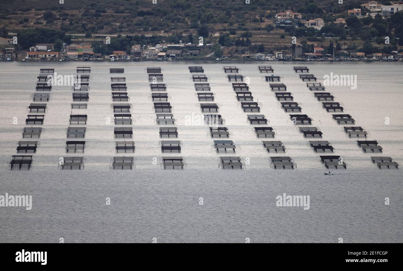 Sete, France.19th Aug,2019. View of The Thau lagoon with shellfish ...