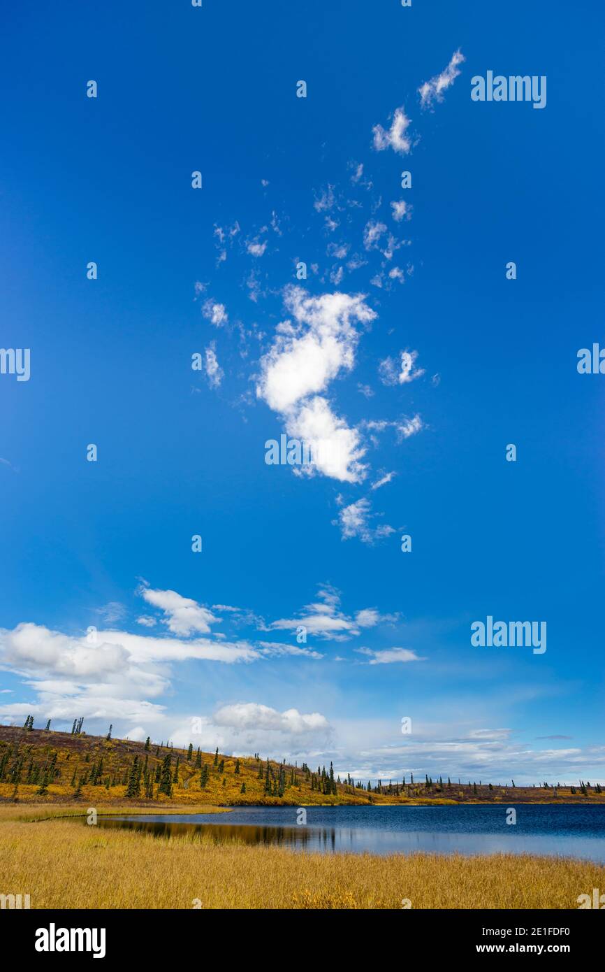 Glennallen alaska hi-res stock photography and images - Alamy