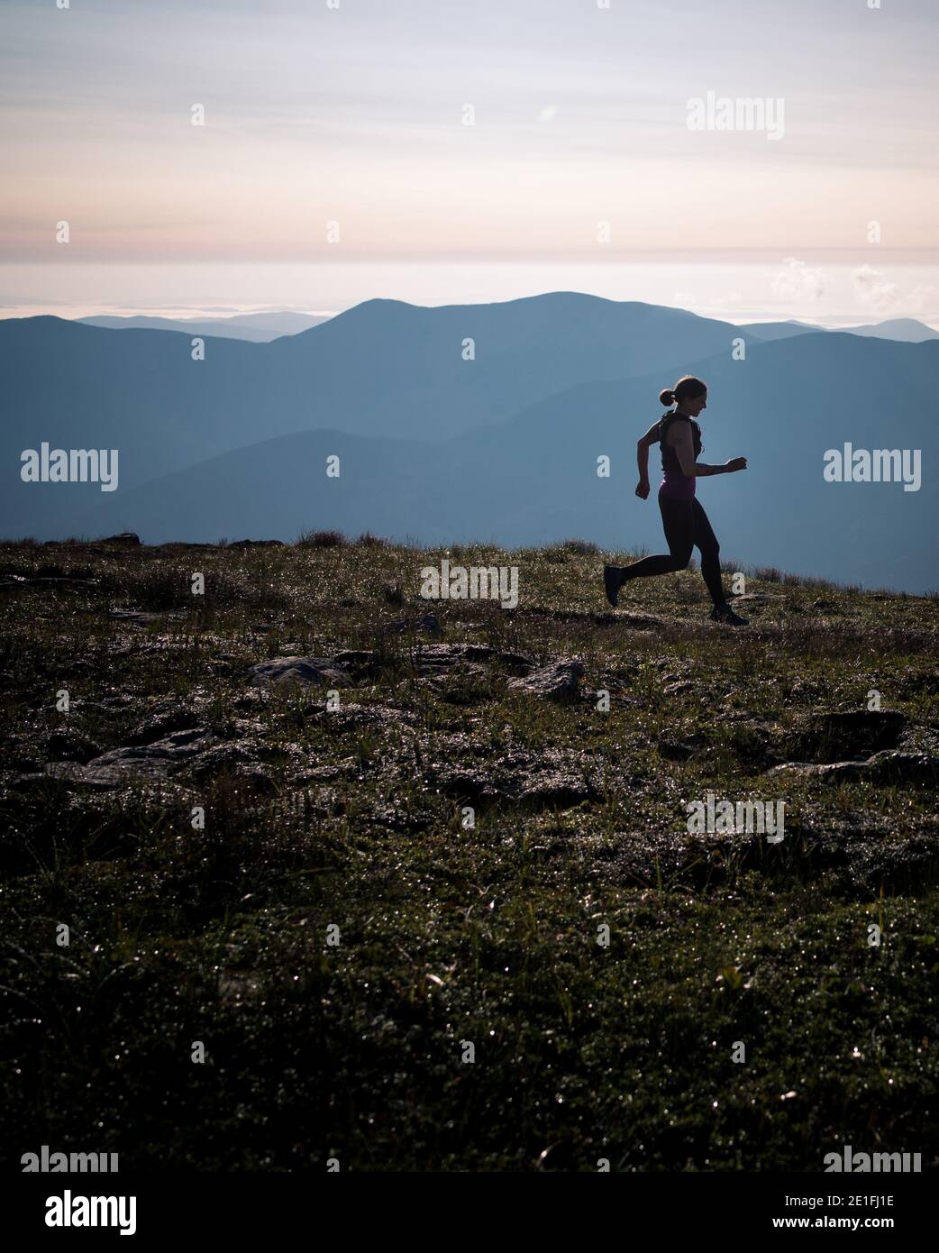 Alexandra Roberts runs through Mt. Washington's alpine garden in NH ...