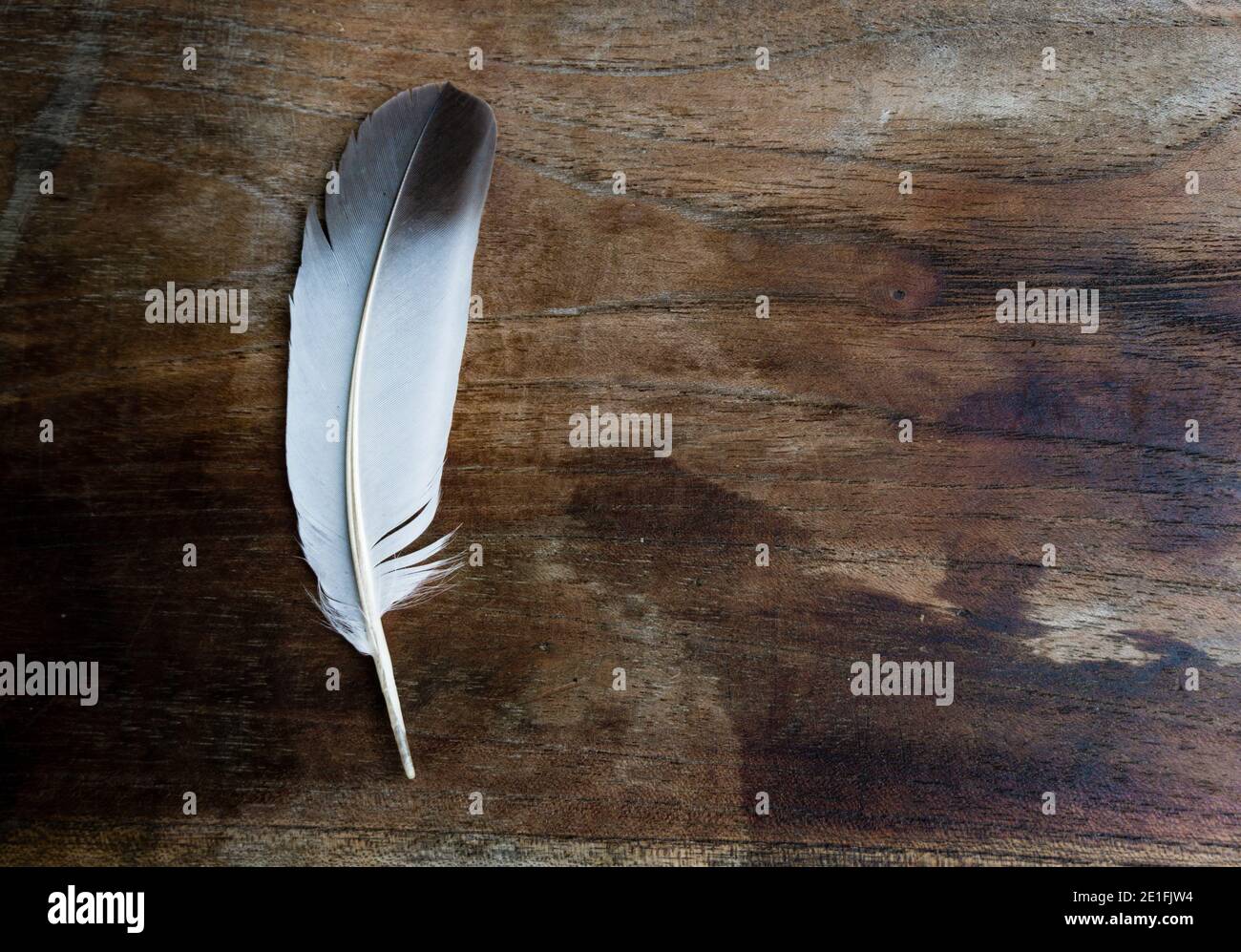 Big black hat white feather hi-res stock photography and images - Alamy