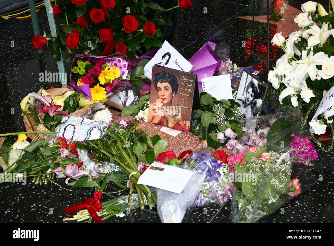 Flowers and mementos have been left on the Star of Elizabeth Taylor on ...
