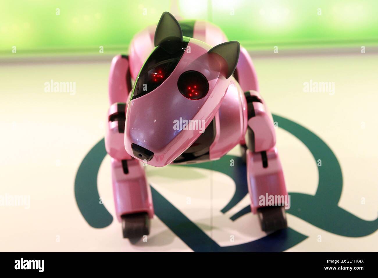 A robot dog by Dasarobot company is on display at InnoRobo (Innovation ...