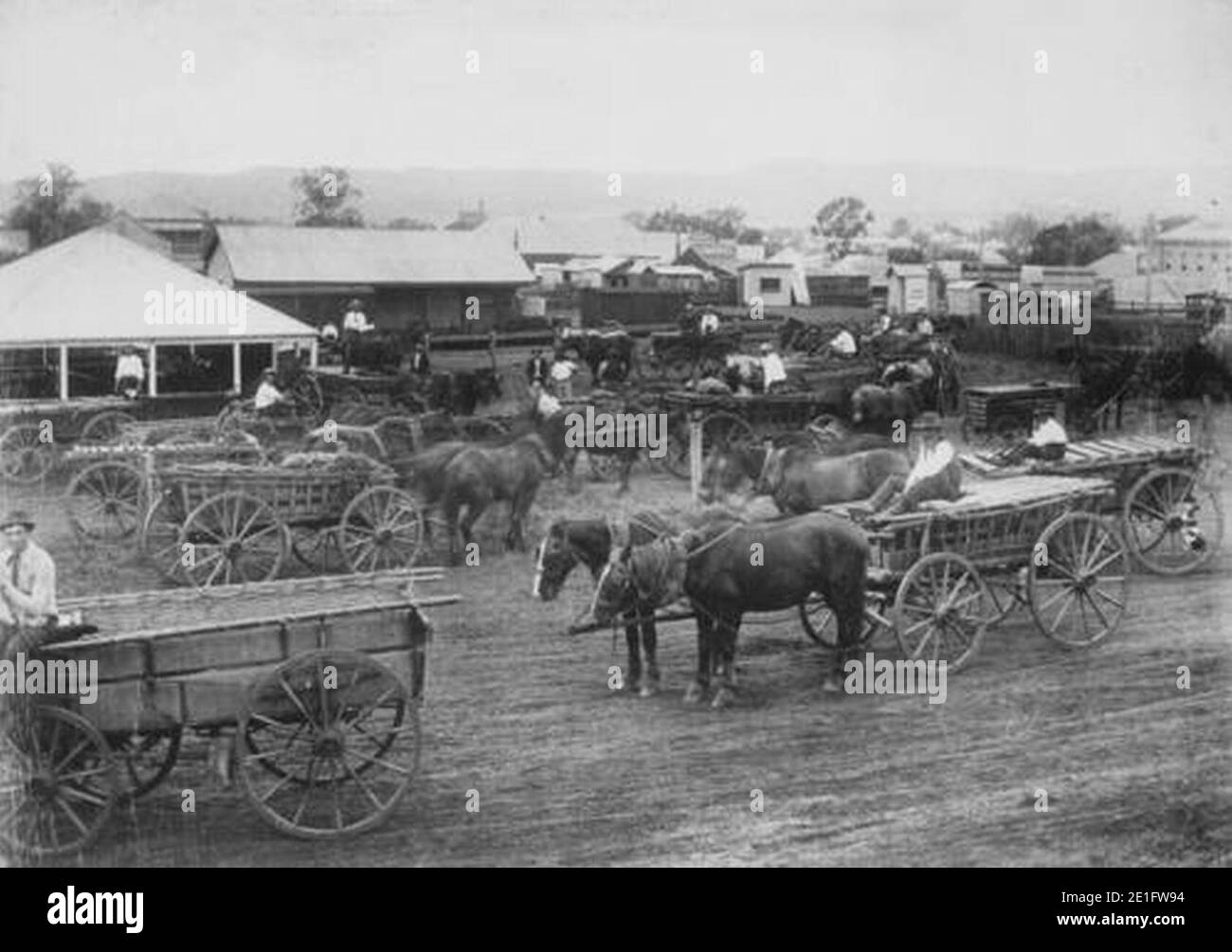 Loaded horse drawn wagons at Lowood Queensland ca.1909 Stock Photo - Alamy