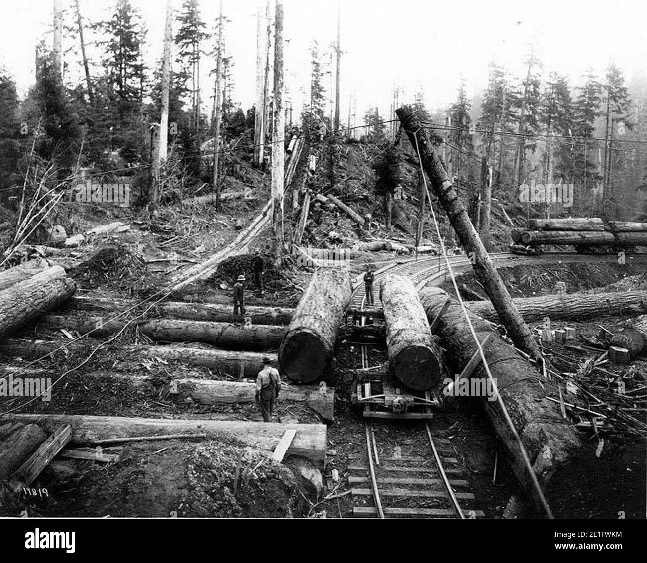 Loading logs on railroad car with a gin pole, A F Coats Logging Co camp ...