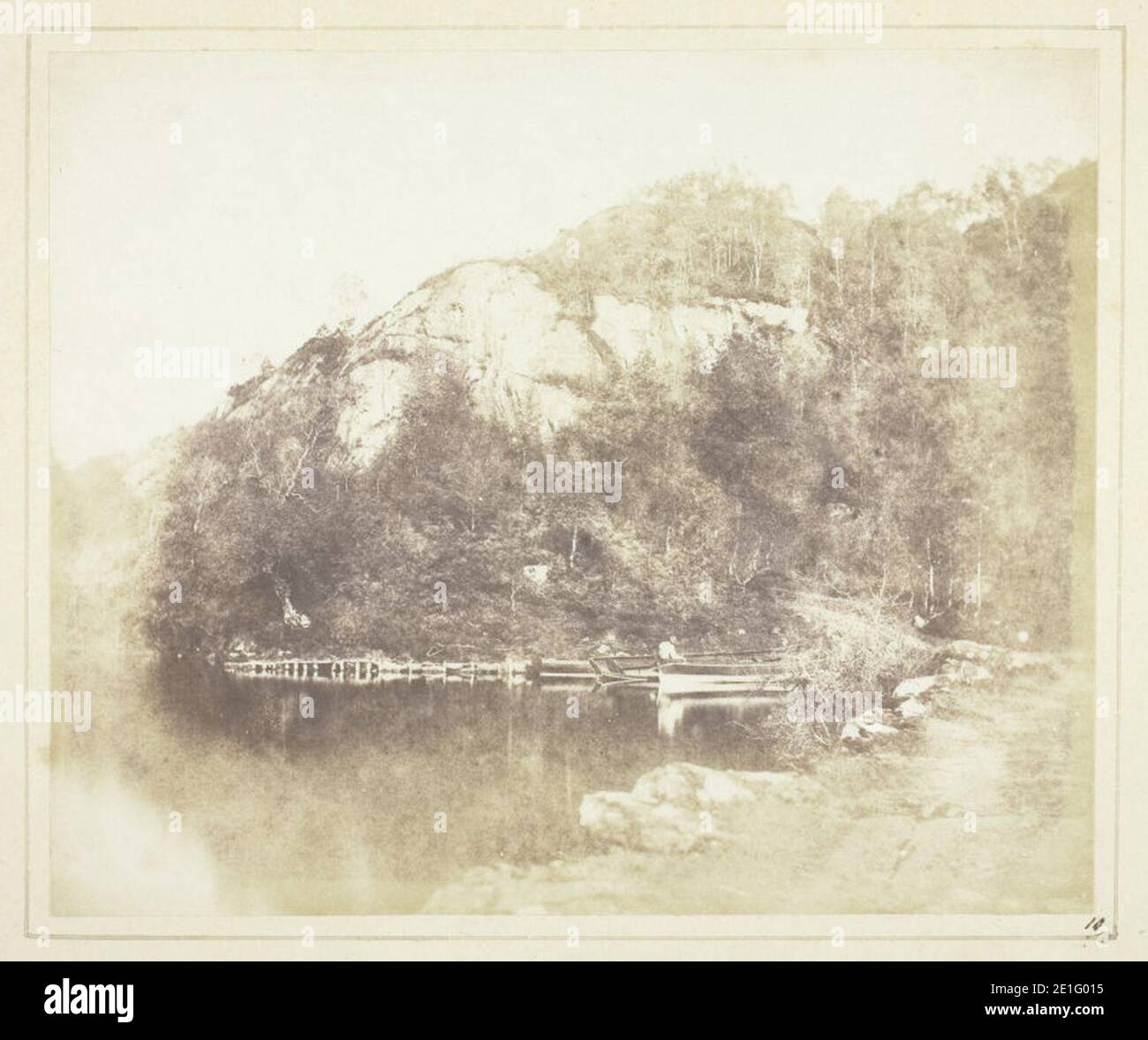 Fox talbot tree hi-res stock photography and images - Alamy