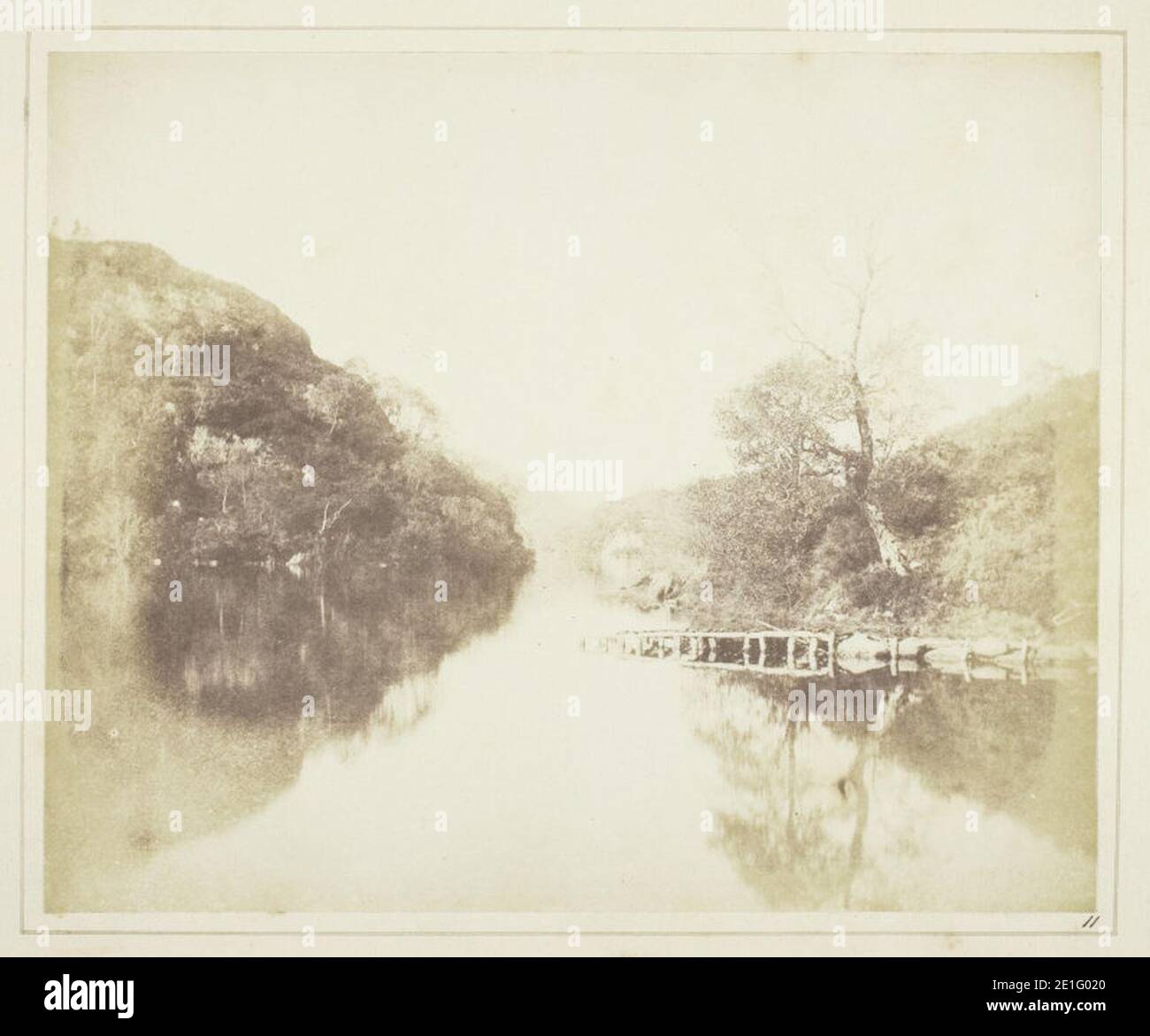 Fox talbot tree hi-res stock photography and images - Alamy