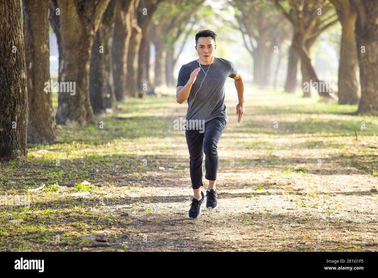 Asian young Man running in the forest on foggy at morning Stock Photo ...