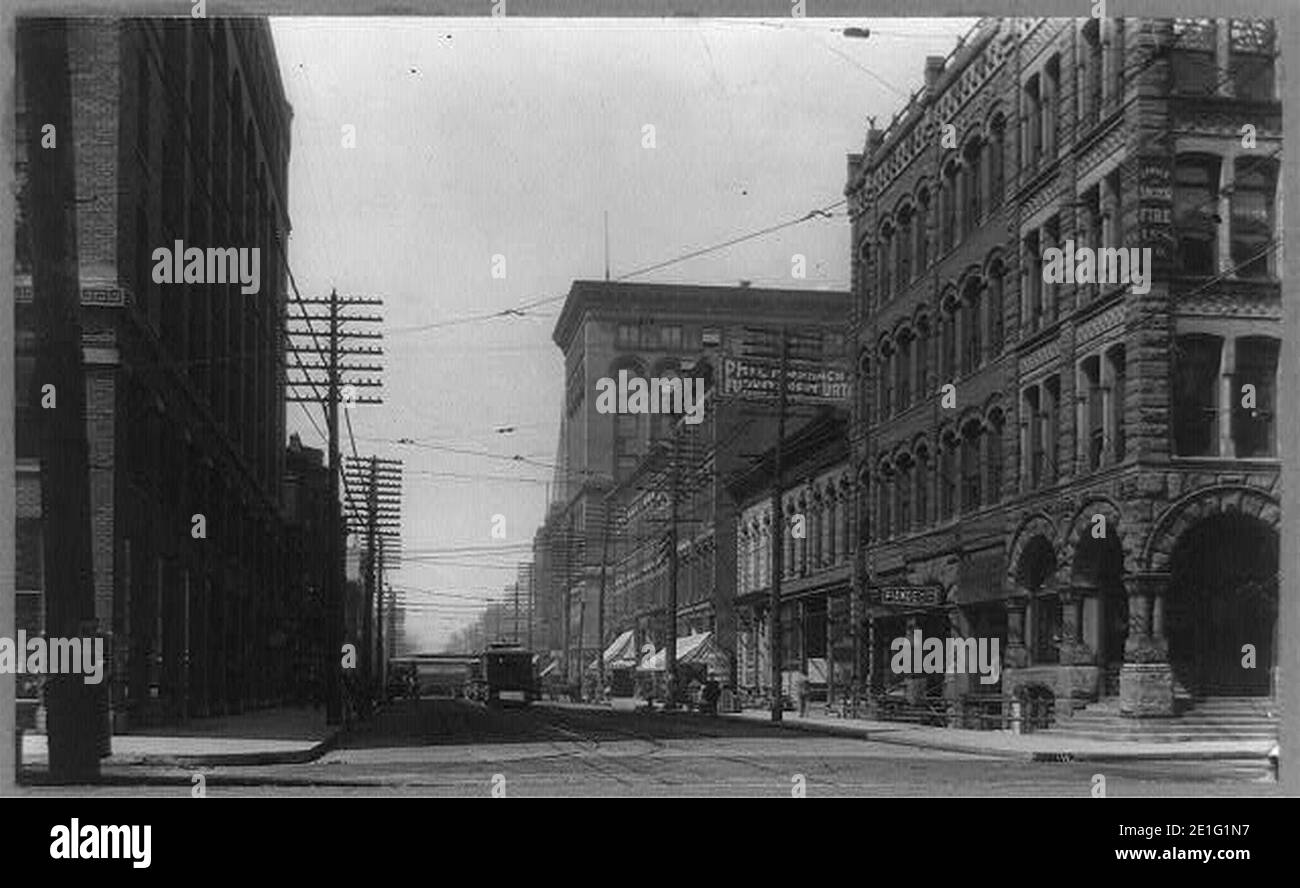 Locust tree Black and White Stock Photos & Images - Alamy