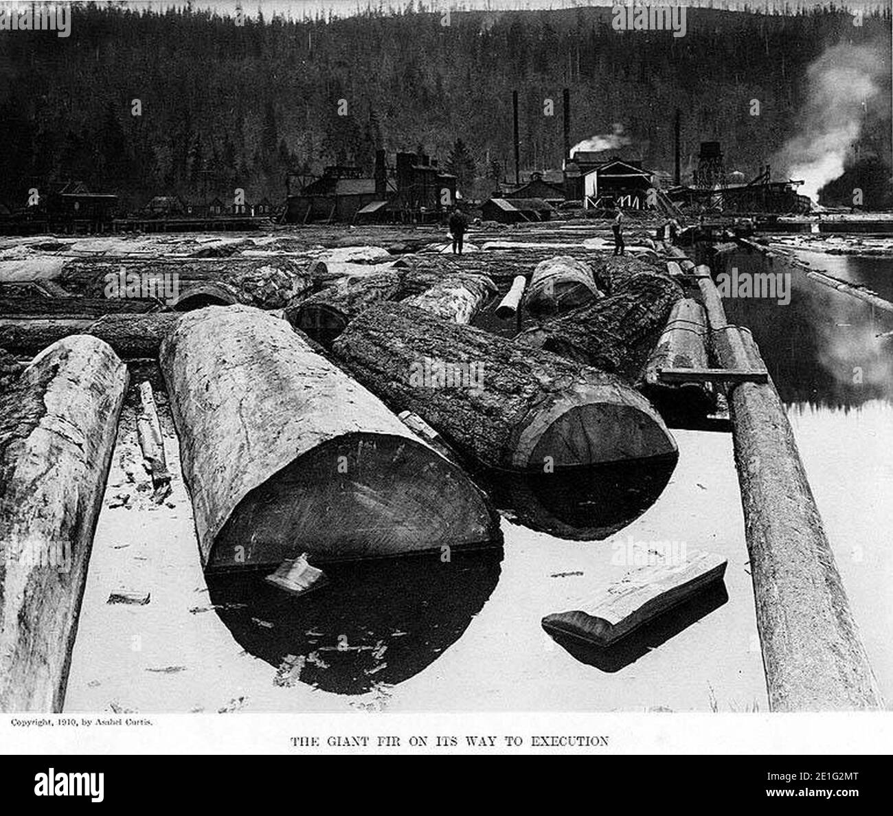 Log pond, unidentified mill, Washington, 1910 (INDOCC 35 Stock Photo ...