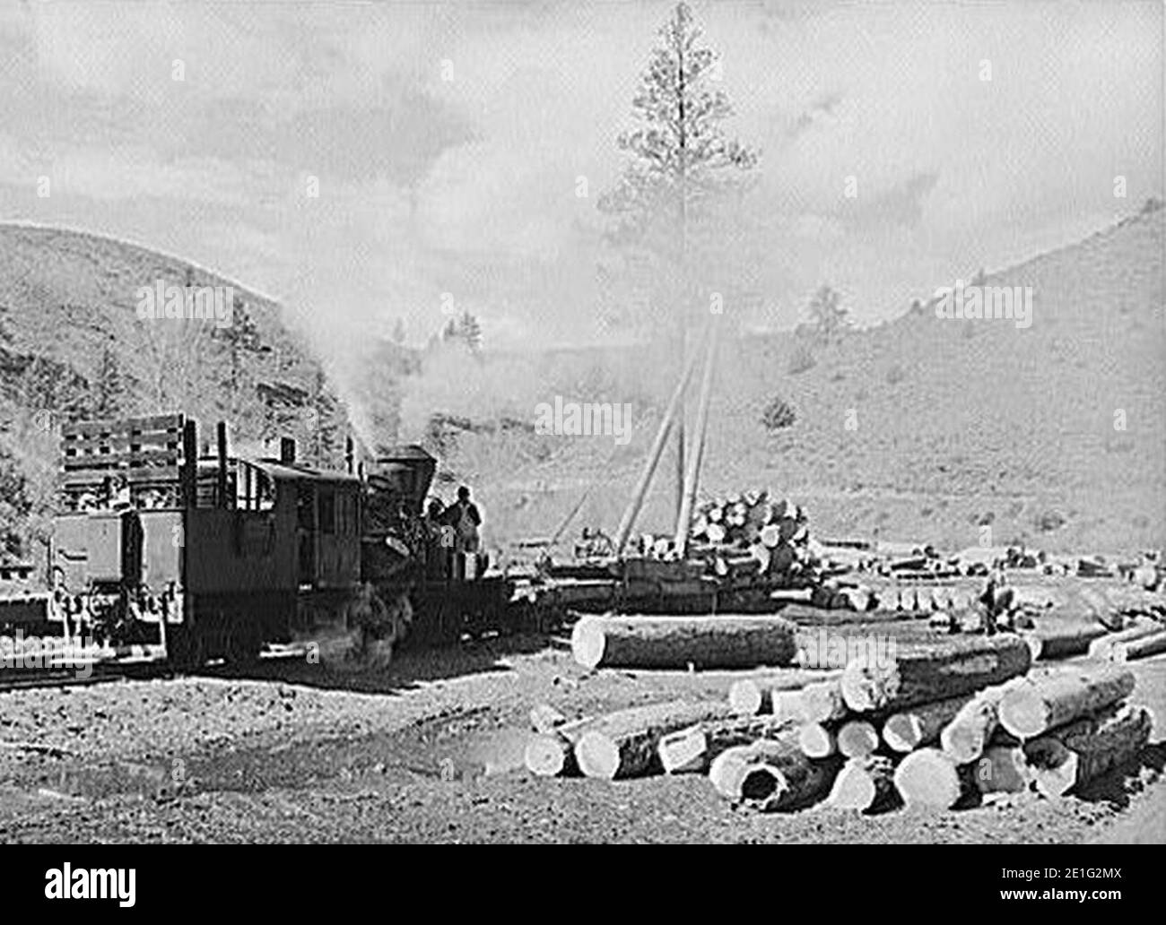Log loading station of small logging camp Stock Photo - Alamy