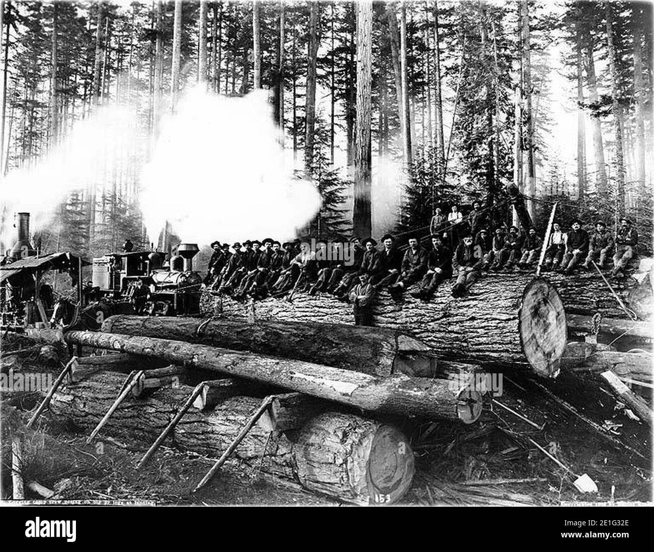 Big tree camp Black and White Stock Photos & Images - Alamy