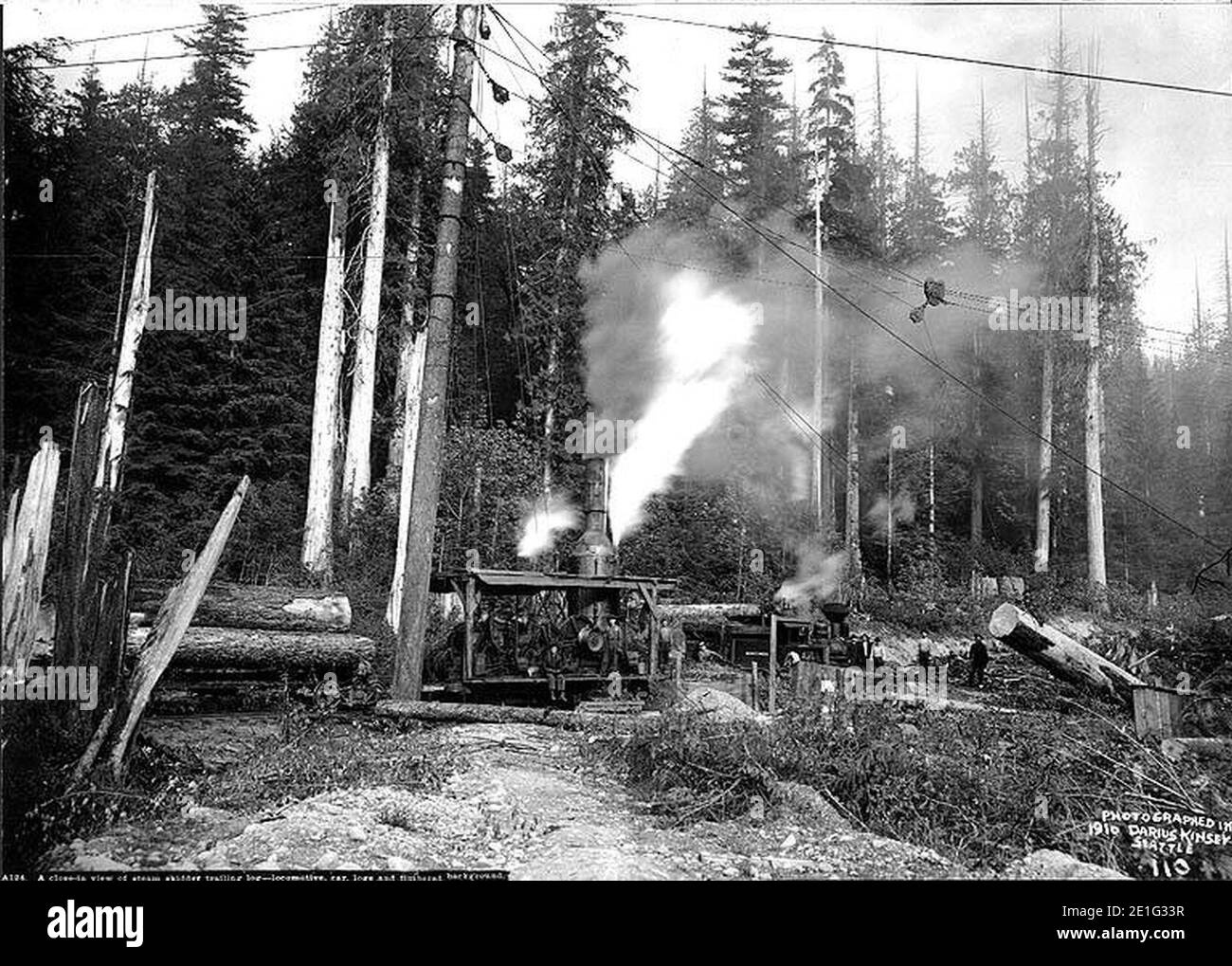 Logging crew loading logs with donkey engine, undentified landing ...