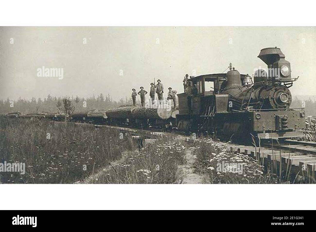 Logging railroad hi-res stock photography and images - Alamy