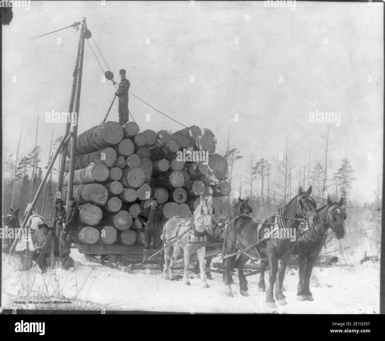 Logging in Minnesota Stock Photo - Alamy