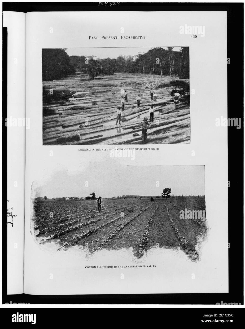 Logging in the alluvial lands of the Mississippi River. Cotton ...