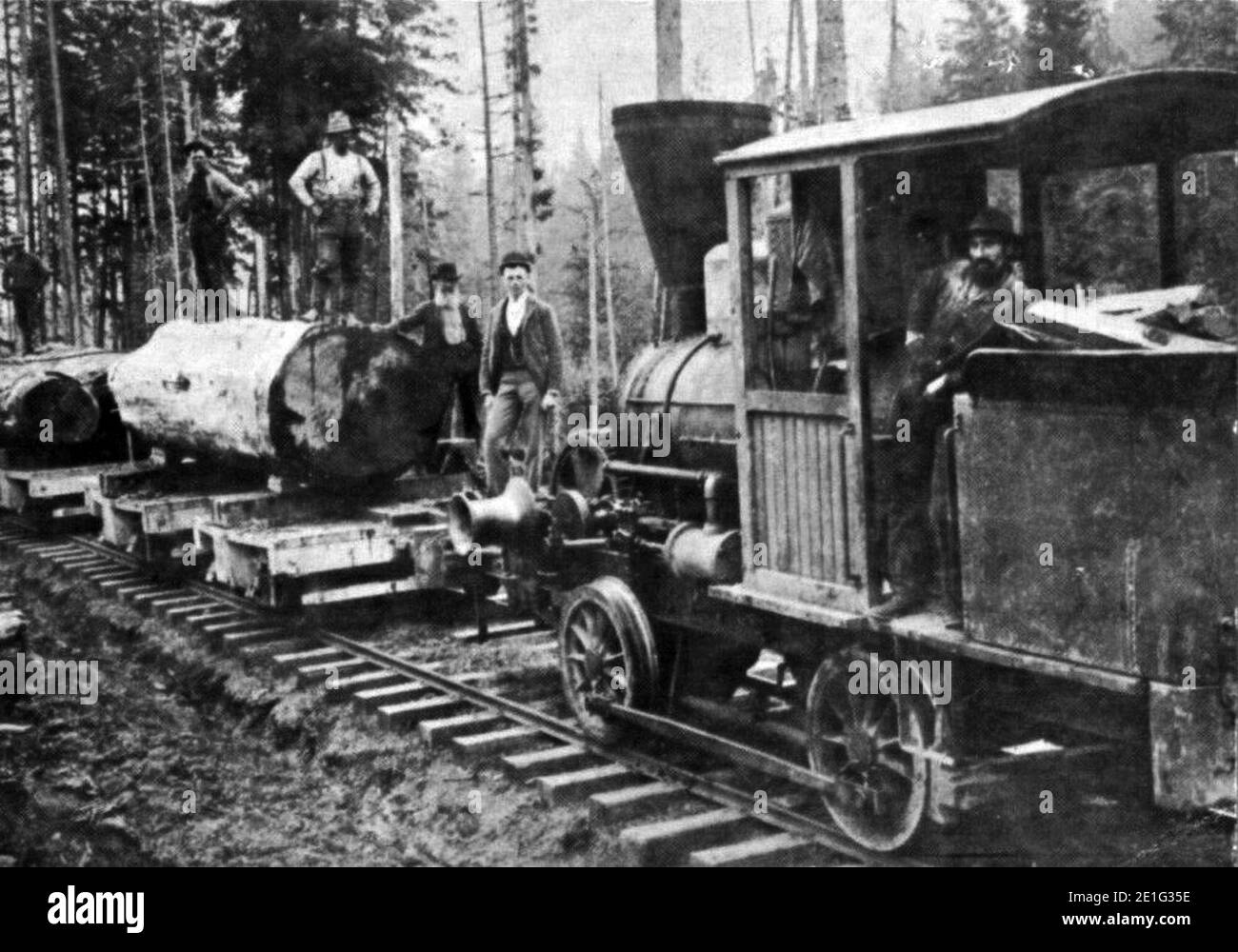 Logging railway (31464504547 Stock Photo - Alamy