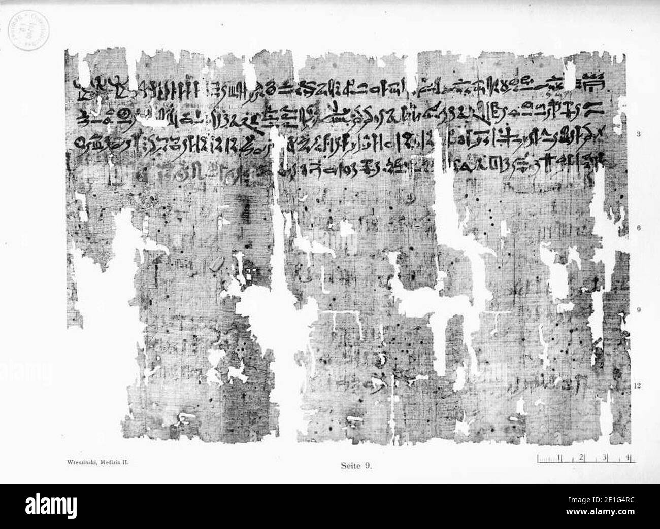 London medical papyrus hi-res stock photography and images - Alamy